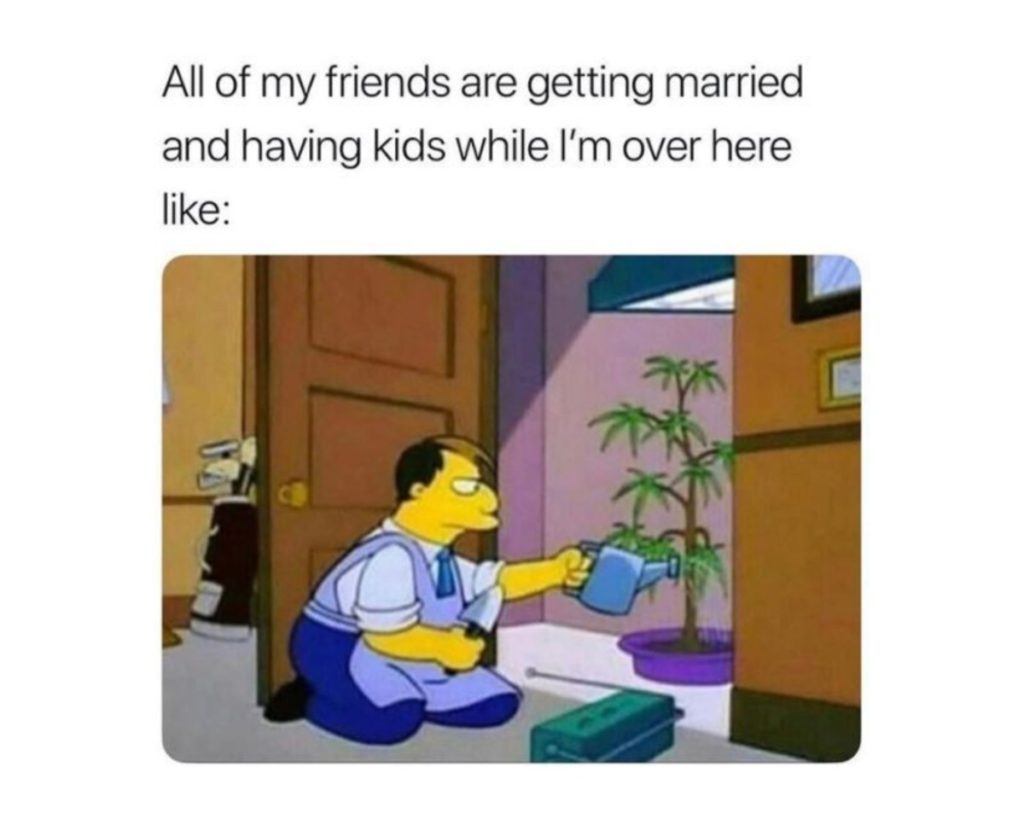 Weed Meme Cartoon Captions Trend