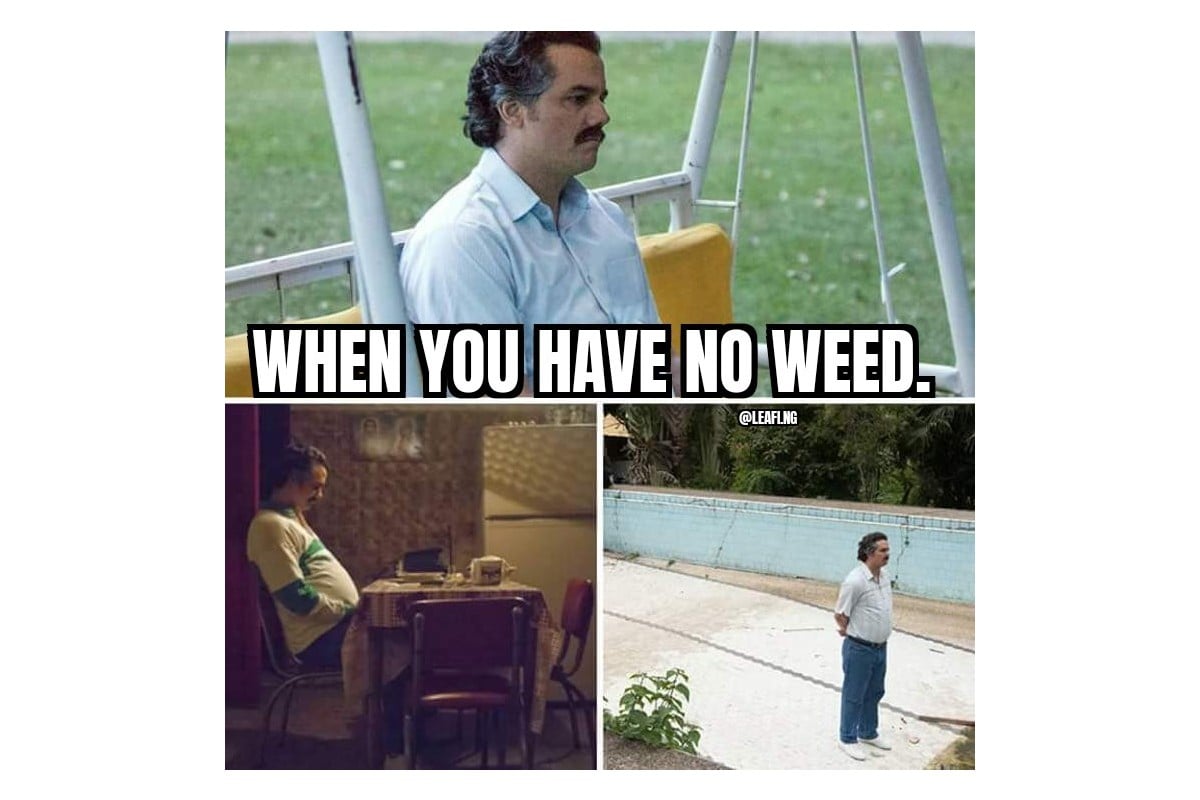 31+ Funny Weed Memes and High Quotes for 4:20